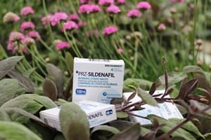 Life: News and Articles - Canadian Pharmacy World